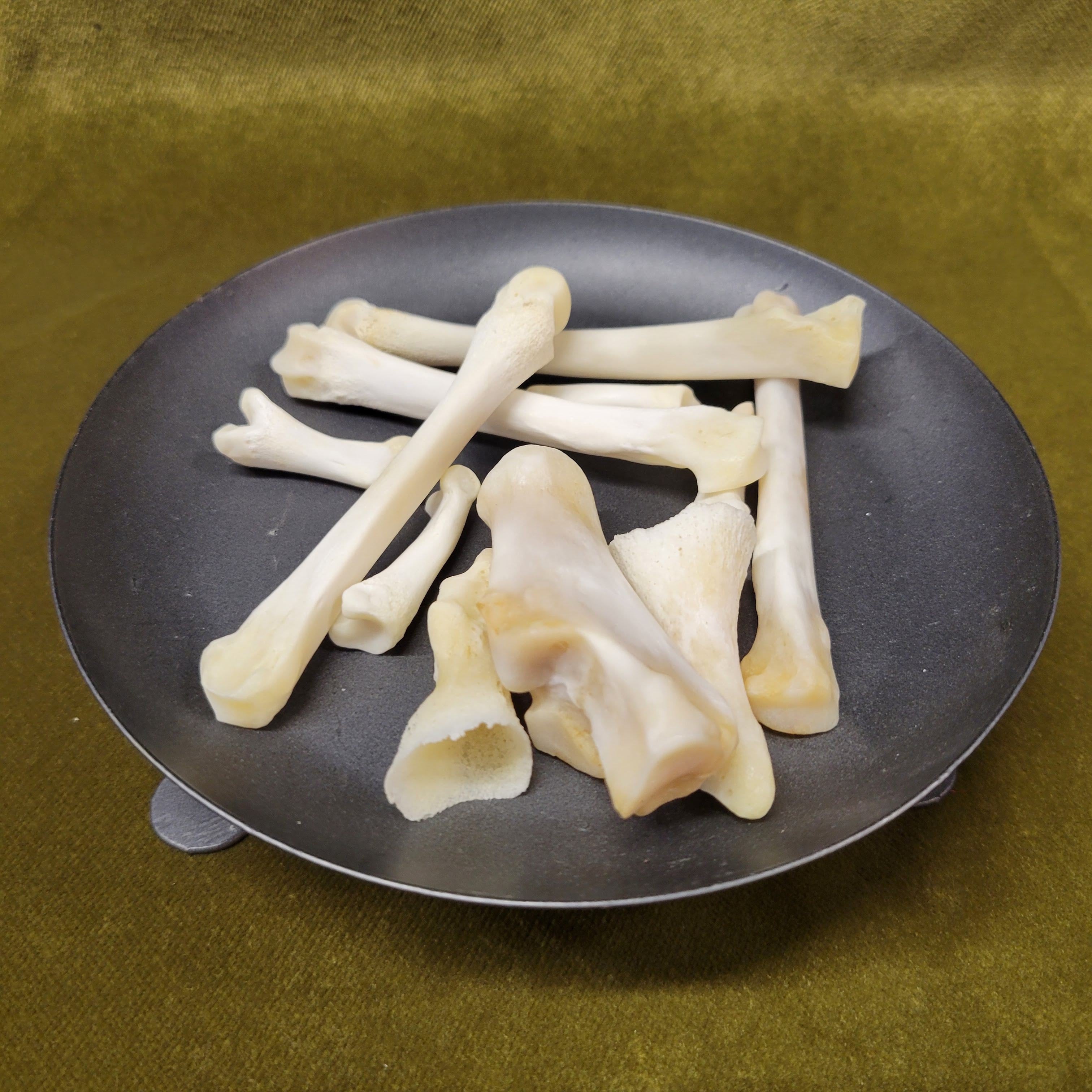 Wolf Bone, mixed bag 10pc. | Oak & Aether